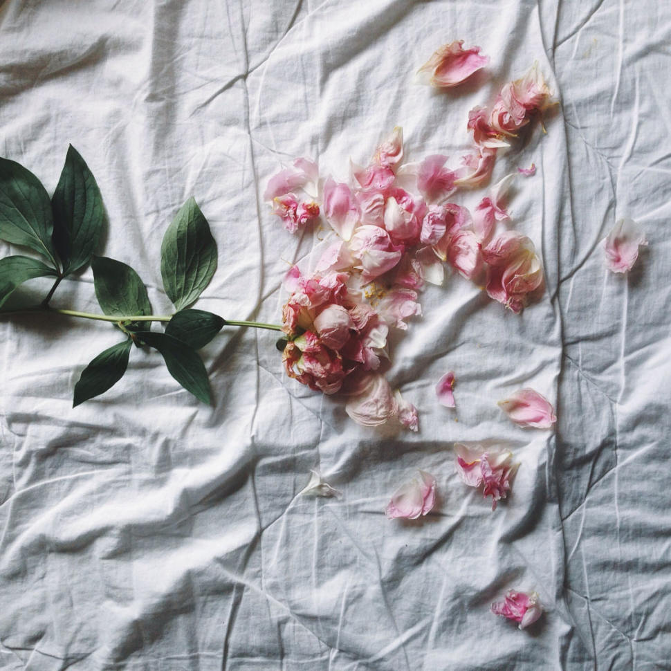 How Sara Tasker Takes Beautiful iPhone Photos