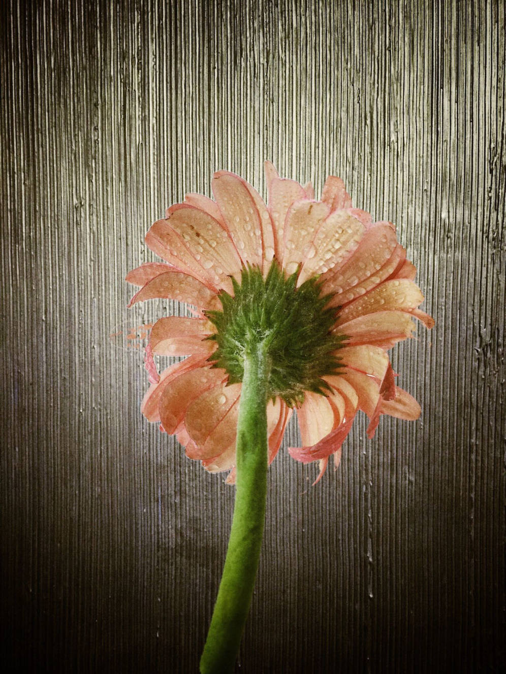 30 Superb iPhone Photos With Amazing Texture