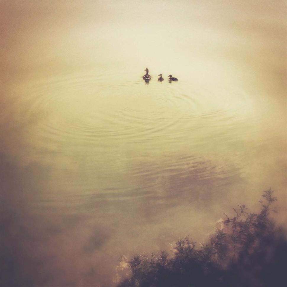30 Incredible iPhone Photos With Minimalist Composition