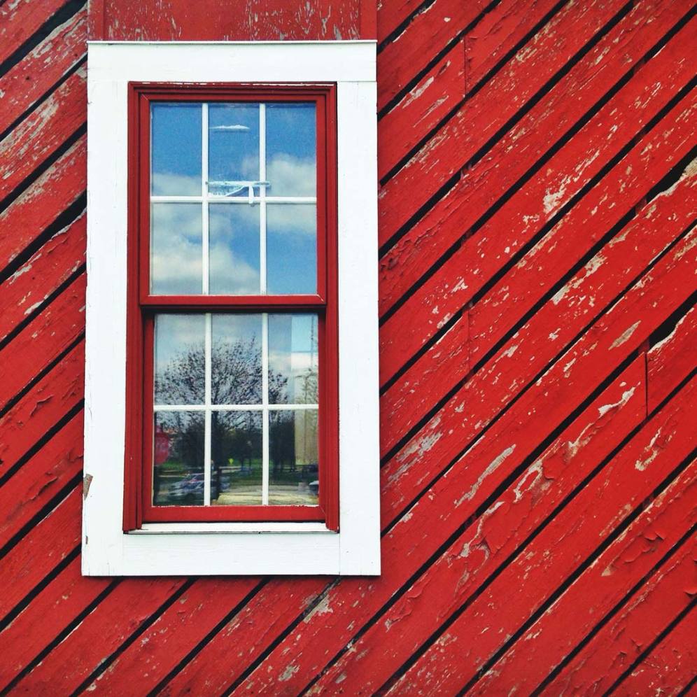 30 Stunning iPhone Photos That Show Vibrant Colors