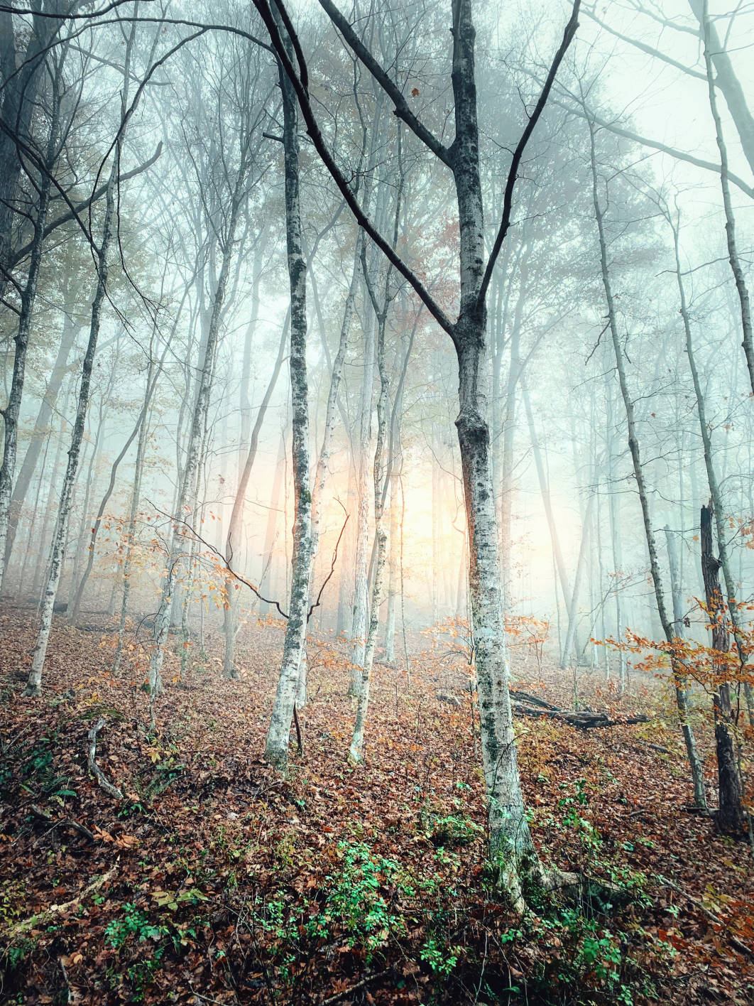 6 Tips For Unbelievable Moody Landscape Photography On iPhone