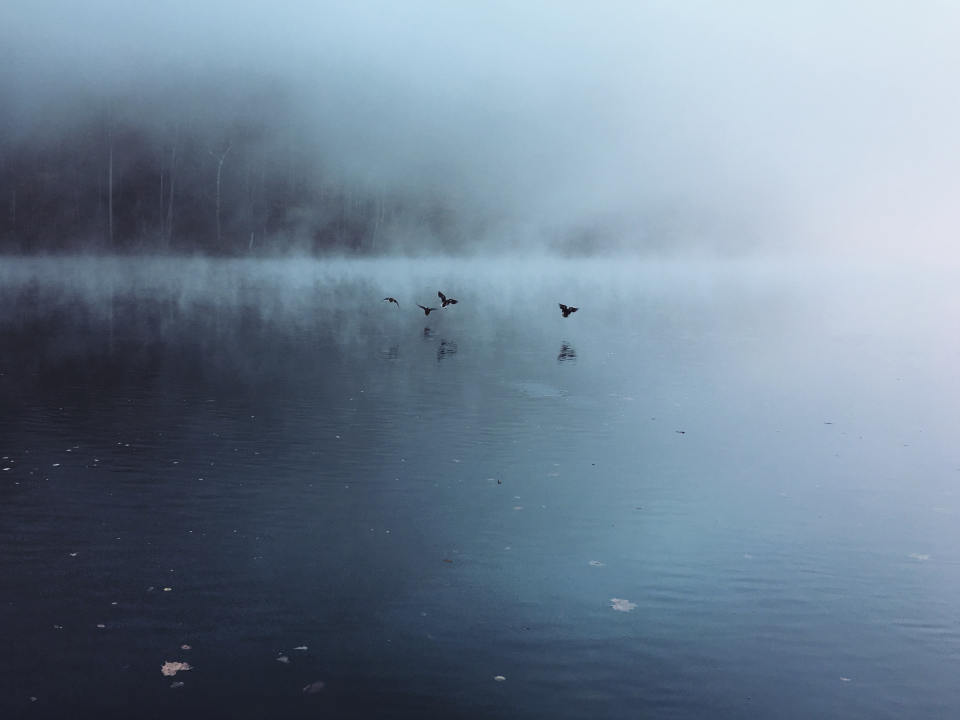 6 Tips For Unbelievable Moody Landscape Photography On iPhone
