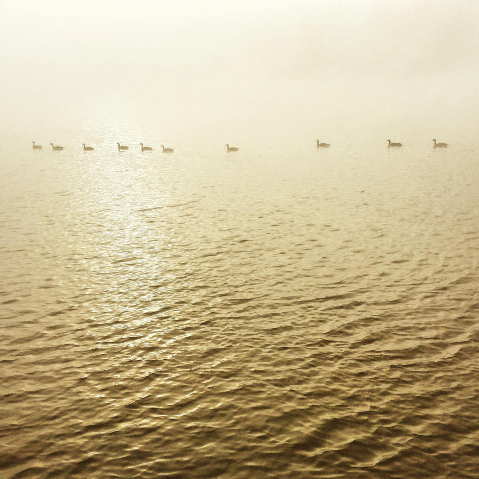 6 Tips For Unbelievable Moody Landscape Photography On iPhone