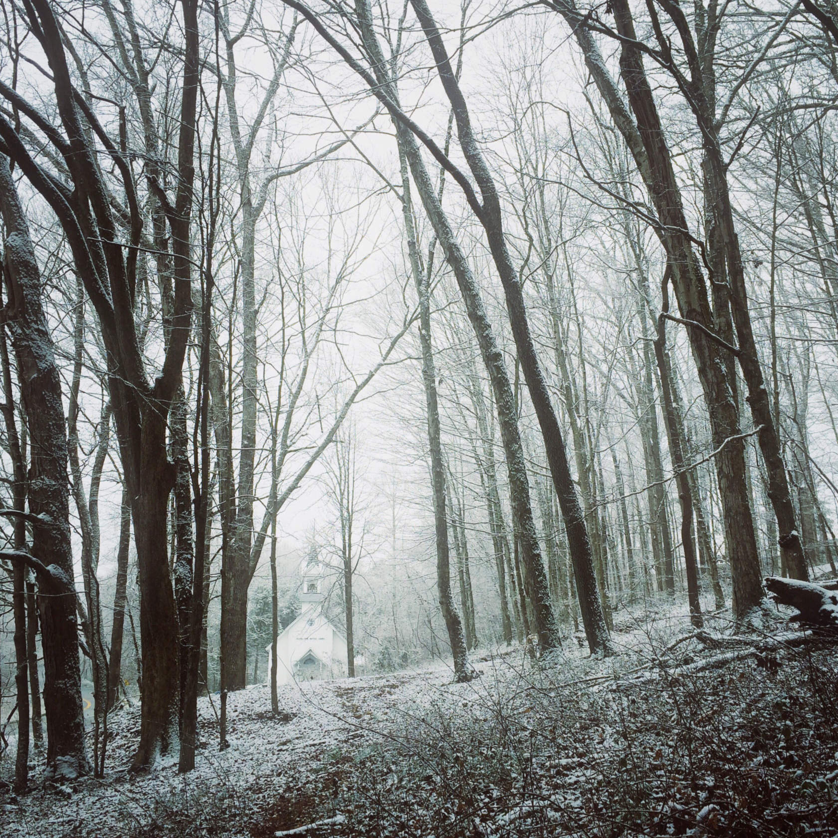 6 Tips For Unbelievable Moody Landscape Photography On iPhone