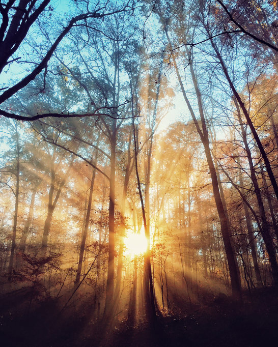 6 Tips For Unbelievable Moody Landscape Photography On iPhone