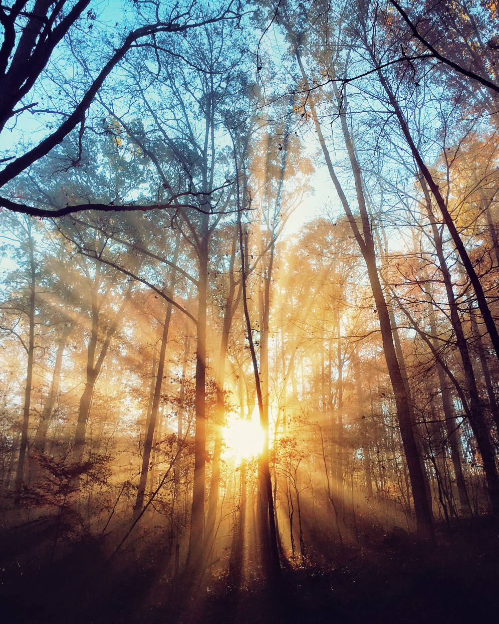 6 Tips For Unbelievable Moody Landscape Photography On iPhone