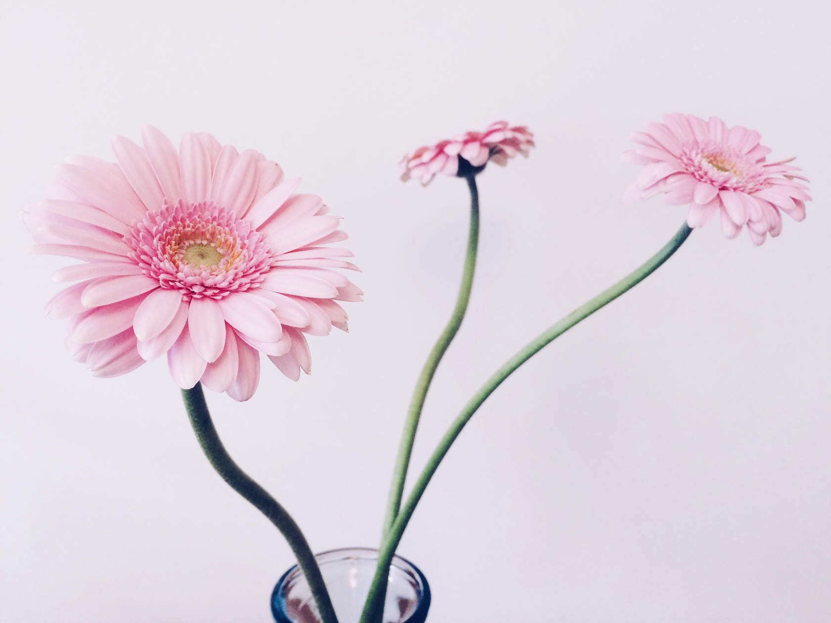 12 Mobile Photography Tips Every Photographer Should Know