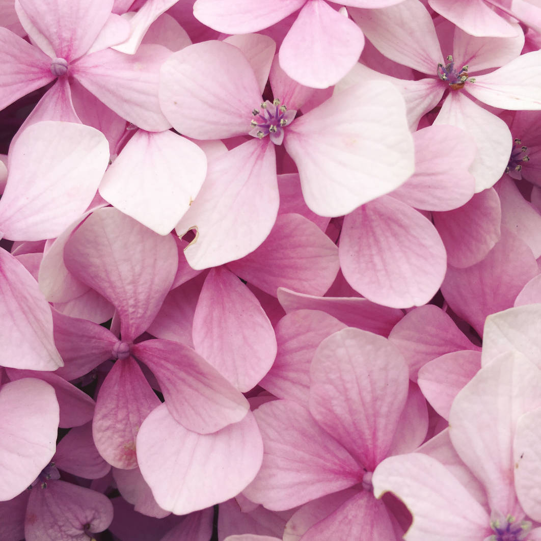 12 Mobile Photography Tips Every Photographer Should Know