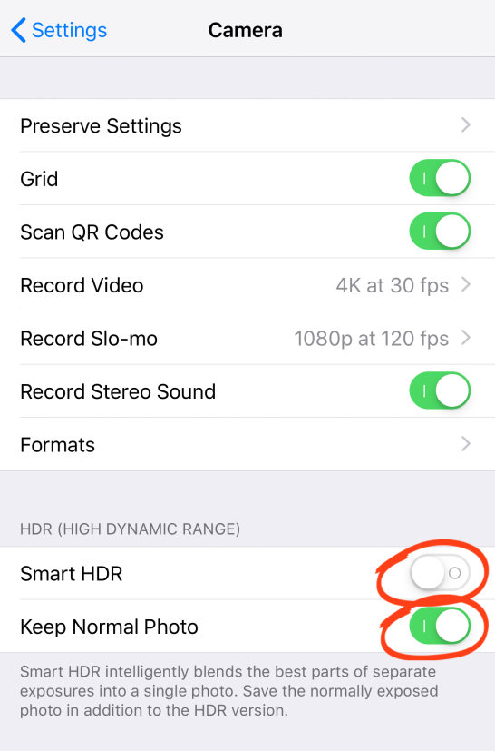 How To Use iPhone XS Camera To Shoot Spectacular Photos
