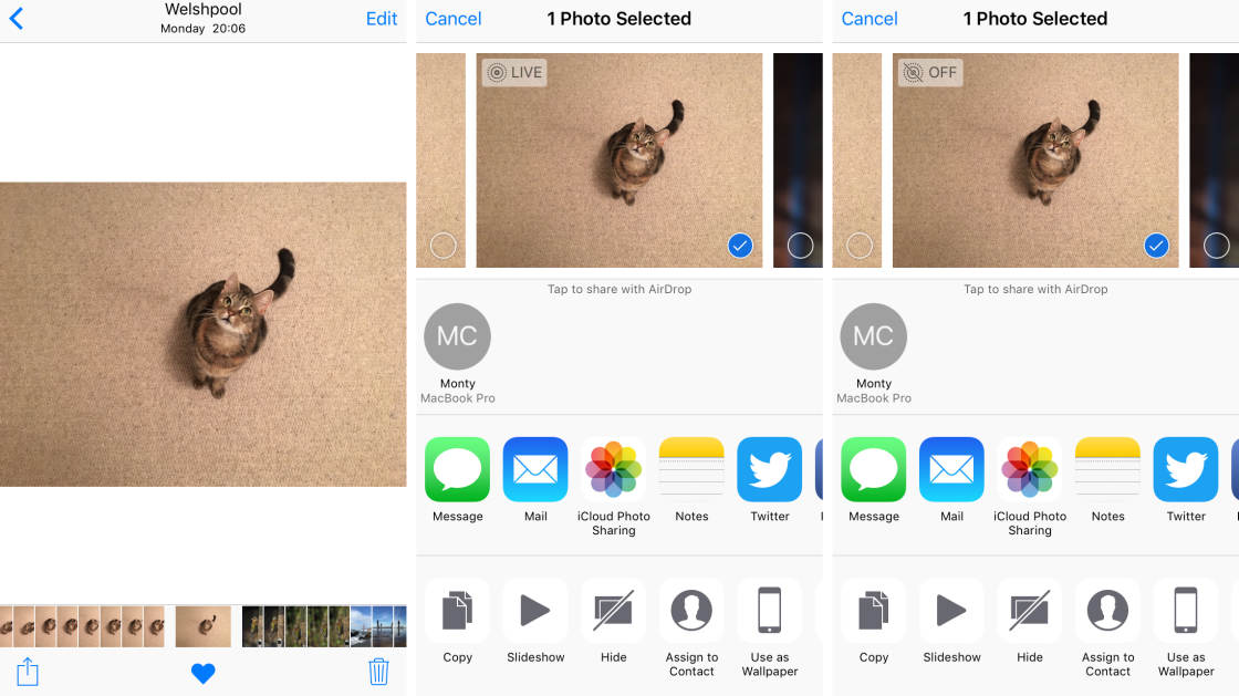 Live Photos: How To Bring Your iPhone Photos To Life