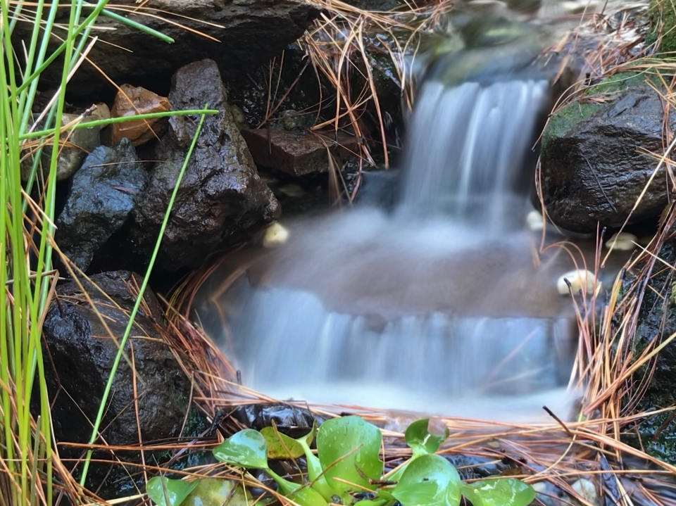 How To Convert Your iPhone Live Photos Into Long Exposure Photos