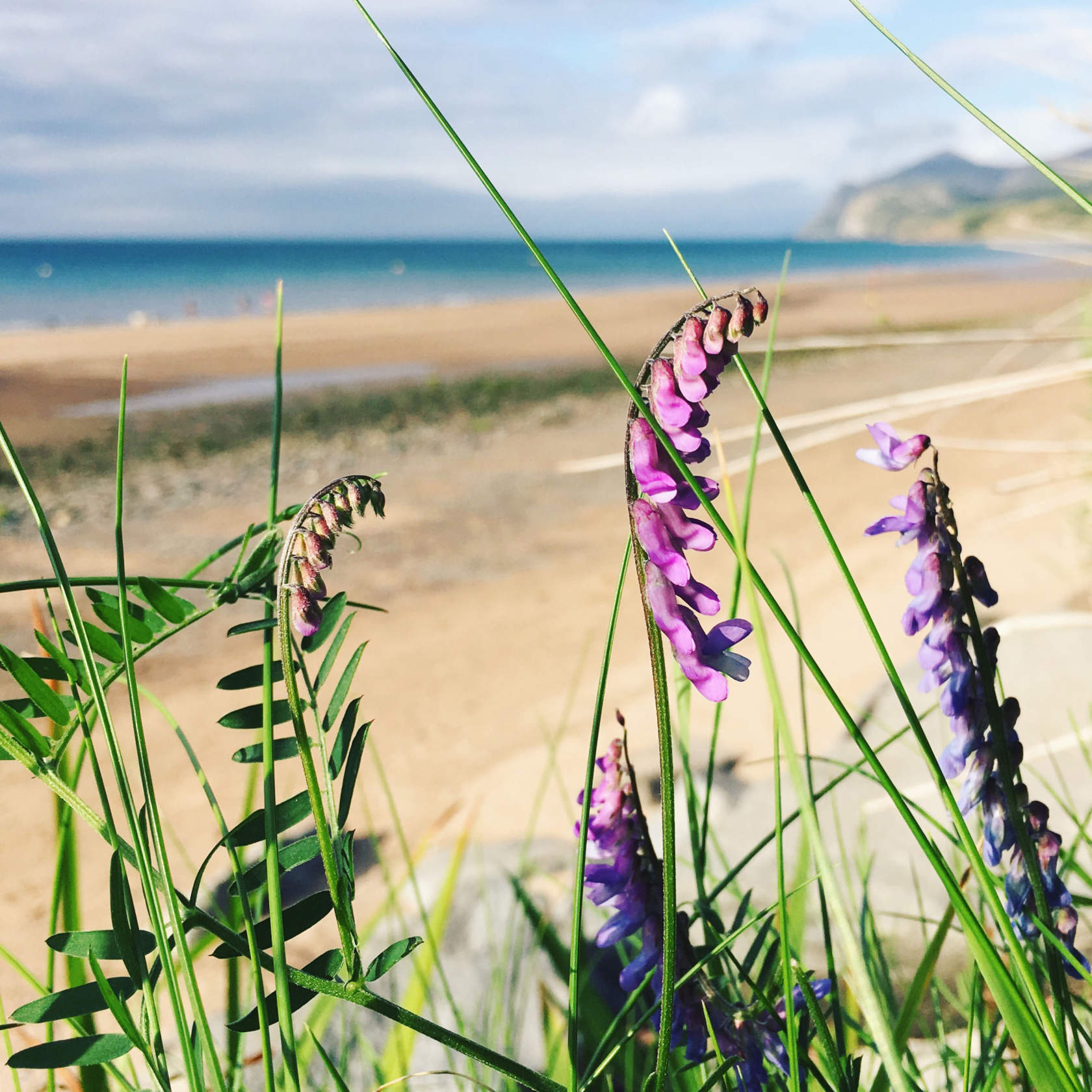 6 Advanced iPhone Camera Controls For Jaw-Dropping Photography