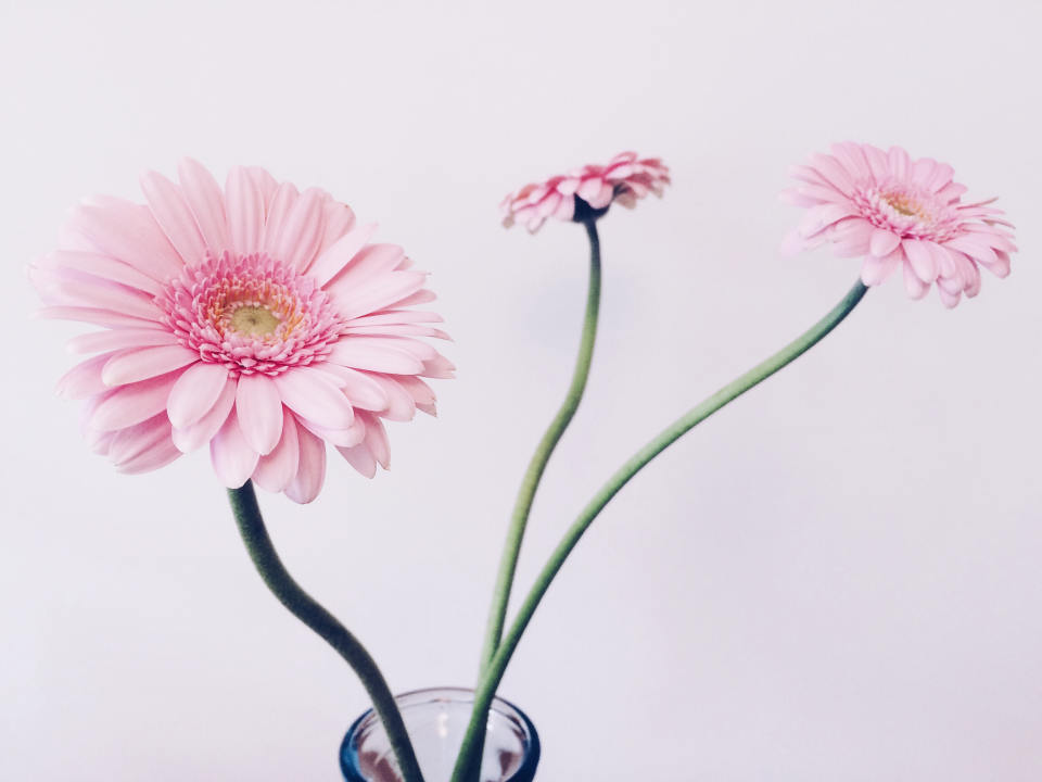 10 IPhone Camera Settings Every Photographer Should Use