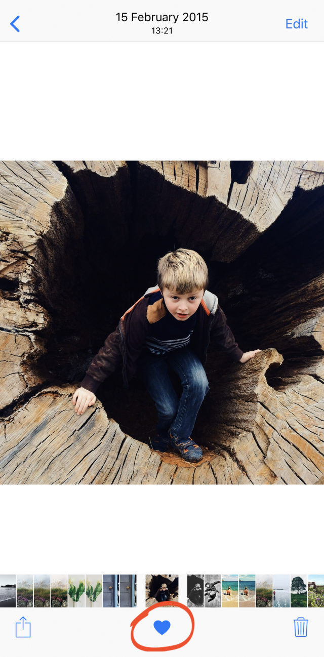 How To Use iPhone Photo Albums To Organize Photos