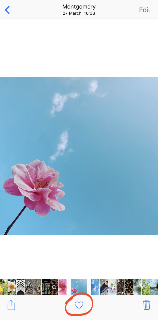 How To Use iPhone Photo Albums To Organize Photos