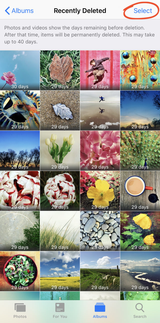 How To Use iPhone Photo Albums To Organize Photos