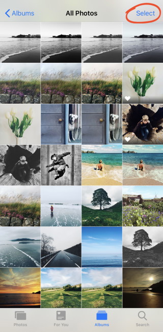 How To Use iPhone Photo Albums To Organize Photos