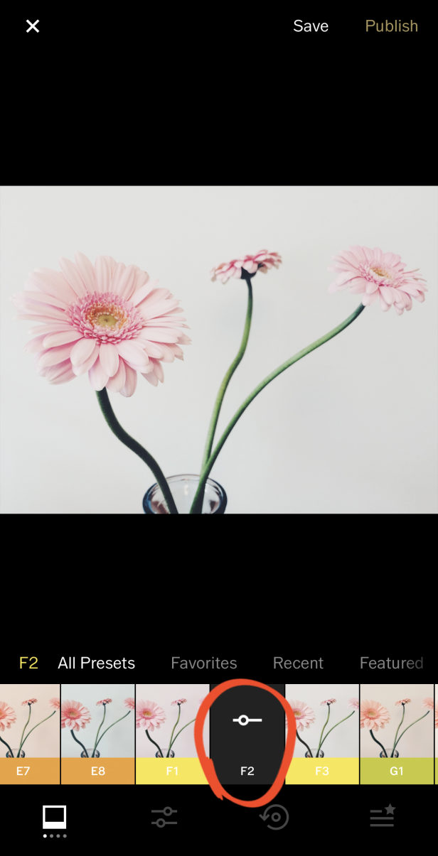 How To Use VSCO Filters To Create Beautiful iPhone Photos