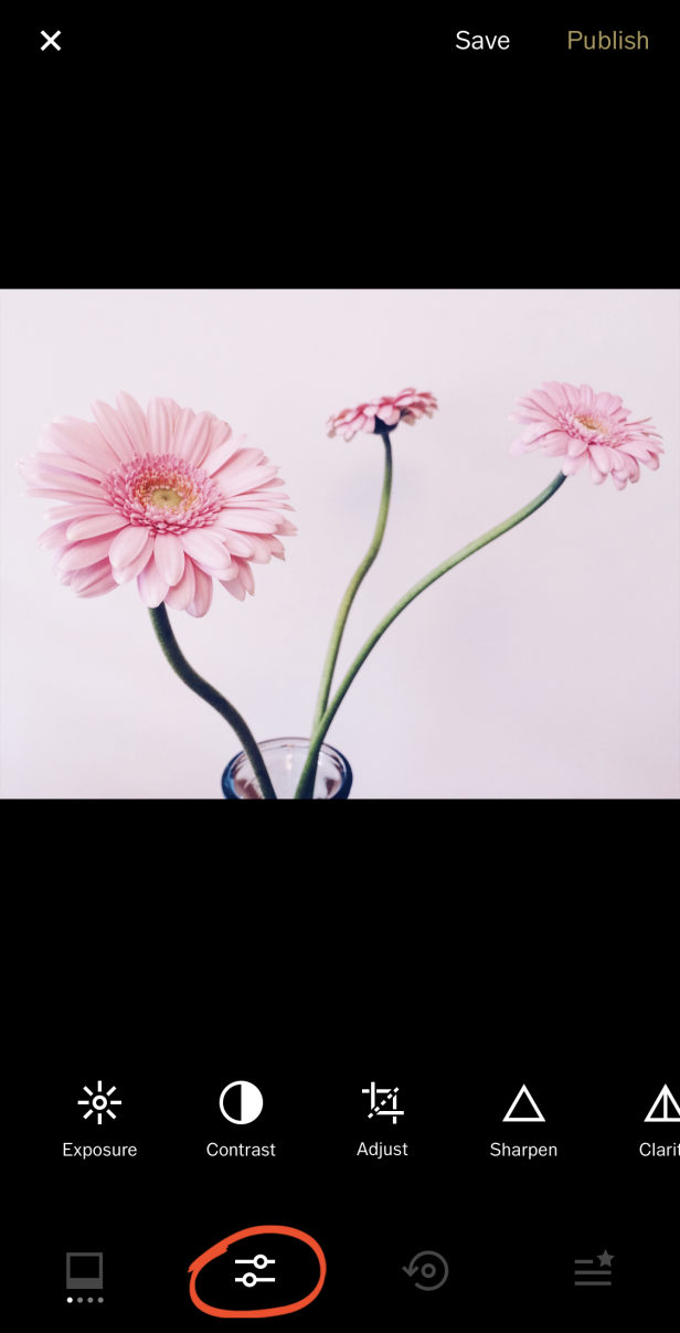 How To Use VSCO Filters To Create Beautiful iPhone Photos