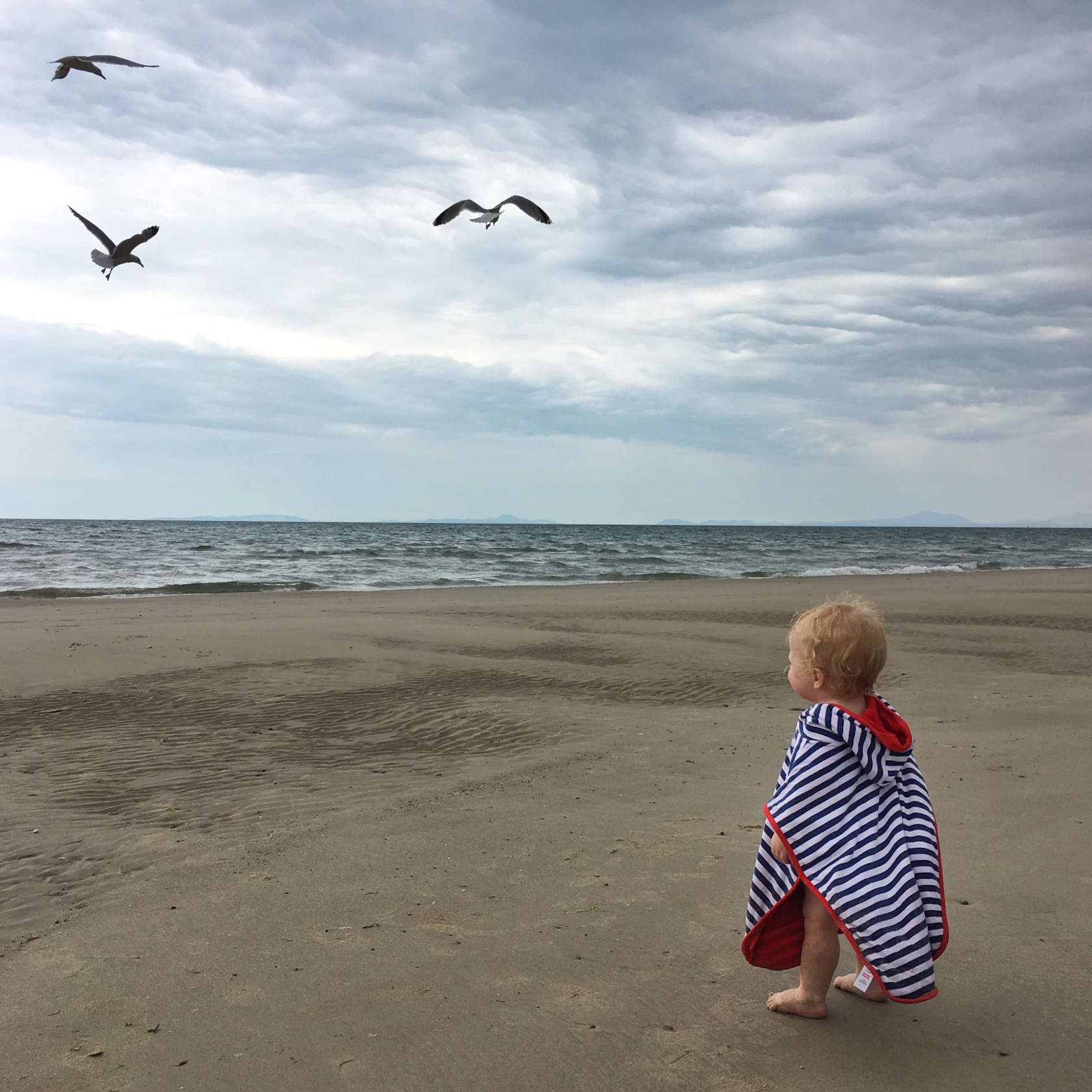 How To Use VSCO Filters To Create Beautiful iPhone Photos