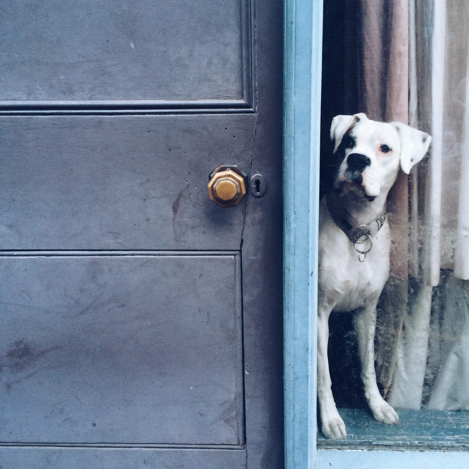 How To Use VSCO Filters To Create Beautiful iPhone Photos