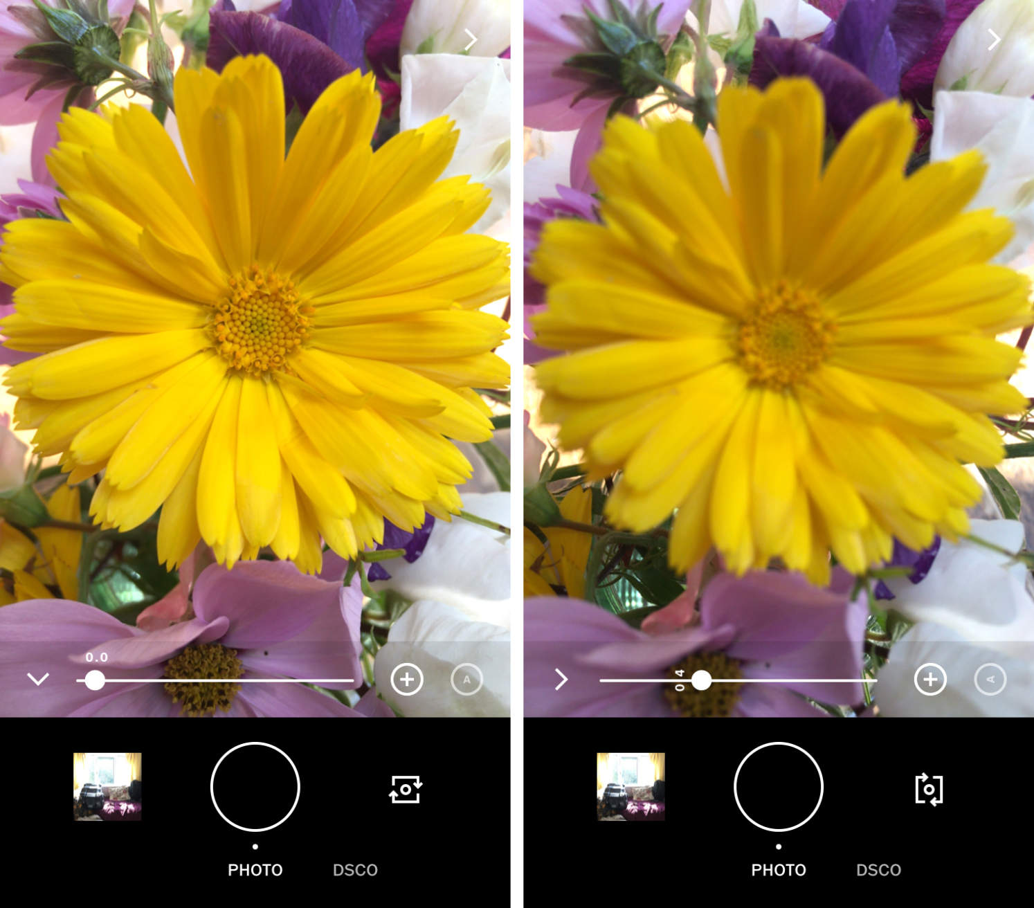 How To Use VSCO App To Shoot & Edit Beautiful iPhone Photos