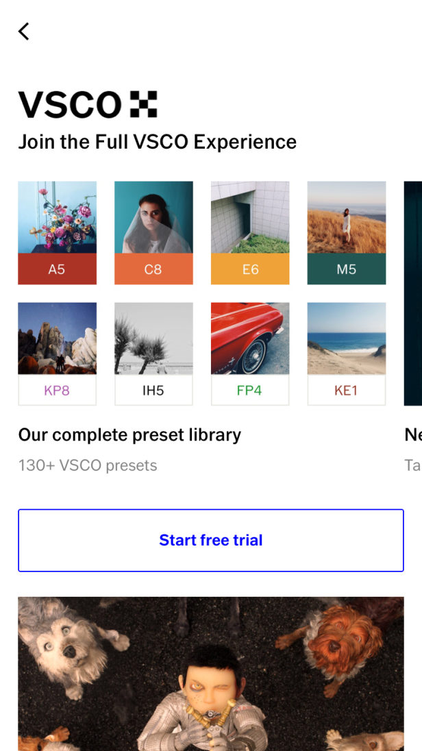 How To Use VSCO App To Shoot & Edit Beautiful iPhone Photos