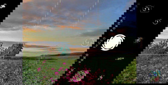 How To Use Your iPhone X Camera To Shoot Stunning Photos