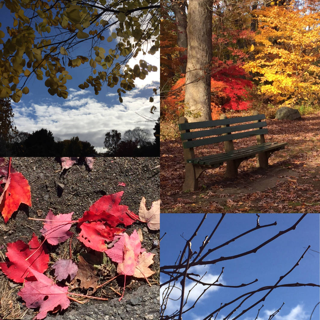 Compare The 5 Best Photo Collage Apps For iPhone