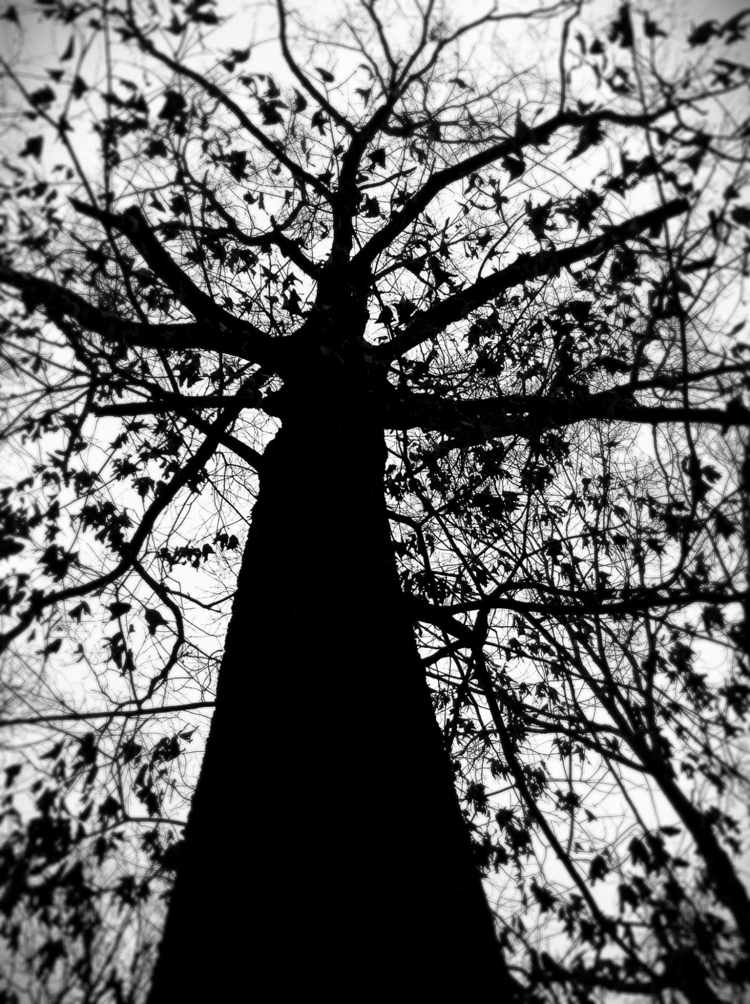 10 Fun Themes To Jumpstart Your iPhone Photography