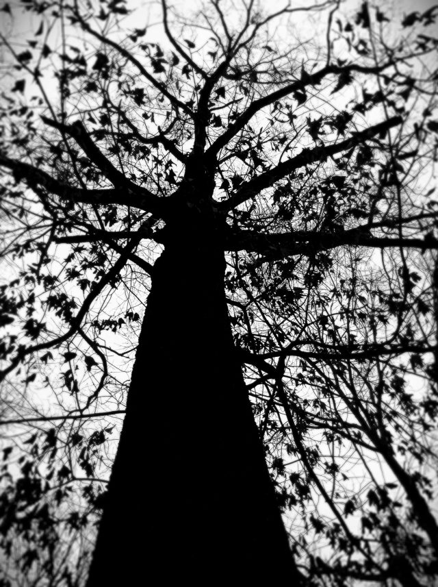 10 Fun Themes To Jumpstart Your iPhone Photography