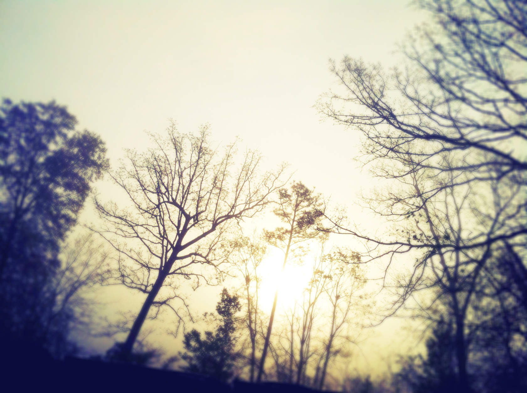 10 Fun Themes To Jumpstart Your iPhone Photography