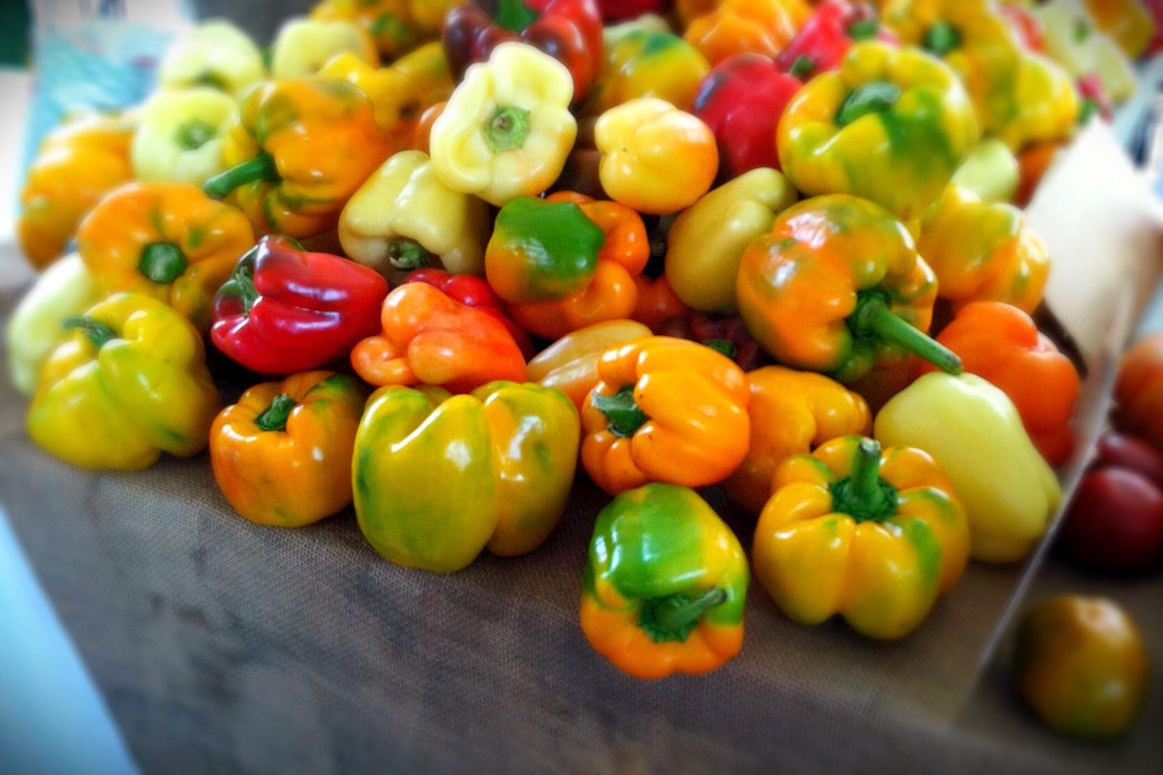 10 Fun Themes To Jumpstart Your iPhone Photography