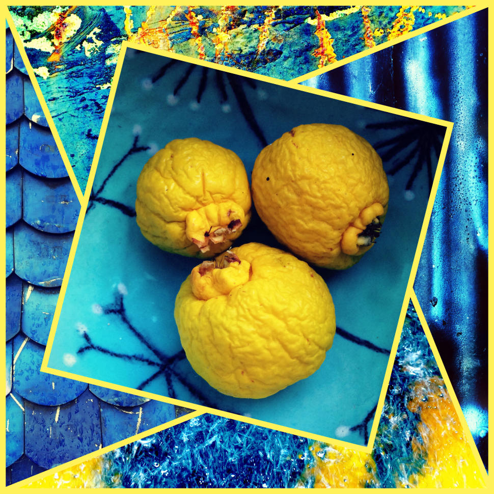 How To Create Stunning Photo Collages On Your IPhone