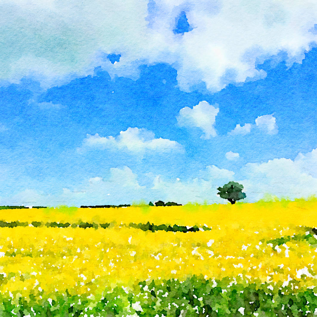 Photo Editing | iPhone Photography School