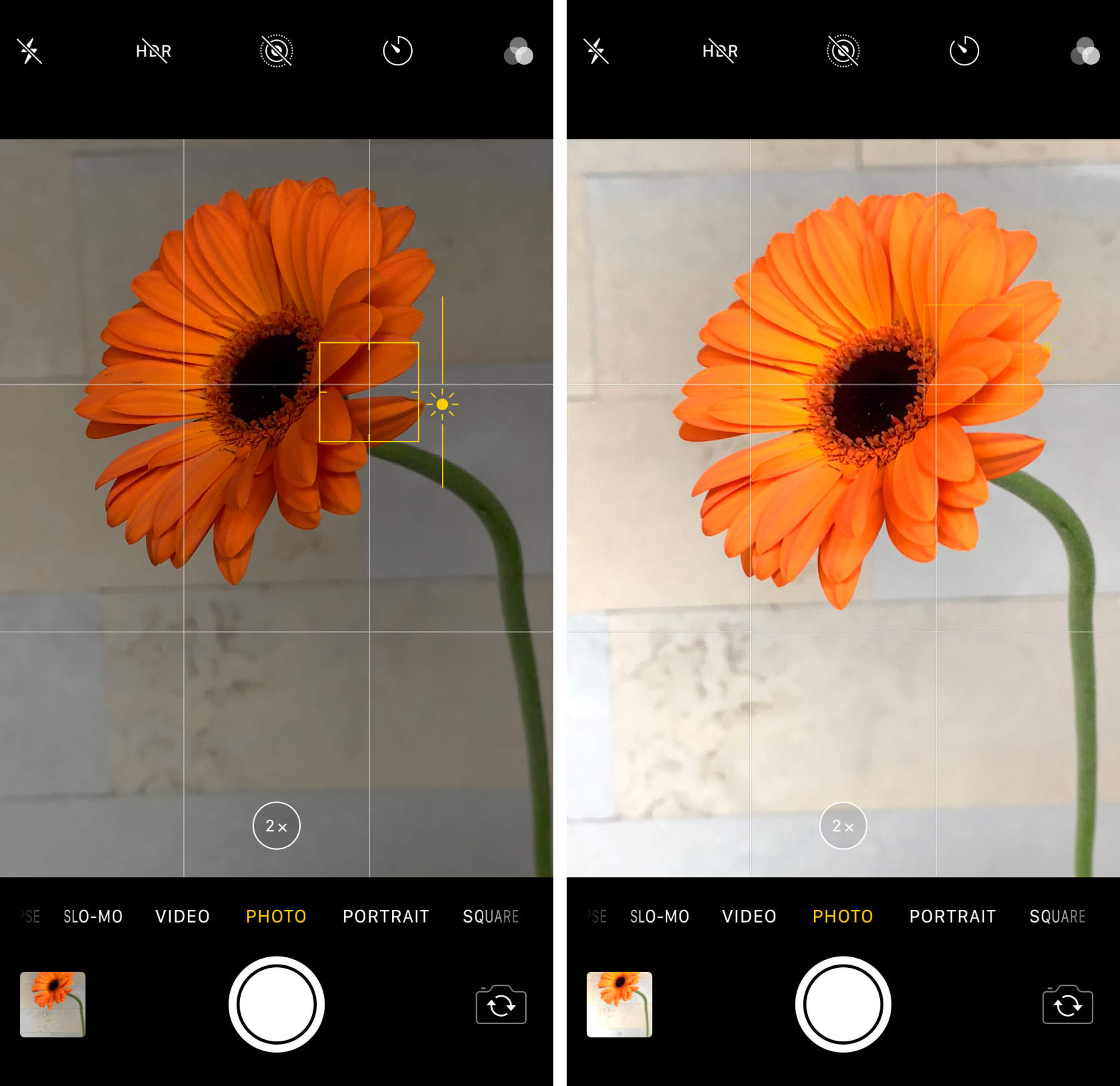10 Focus Tips For Perfectly Sharp iPhone Photos