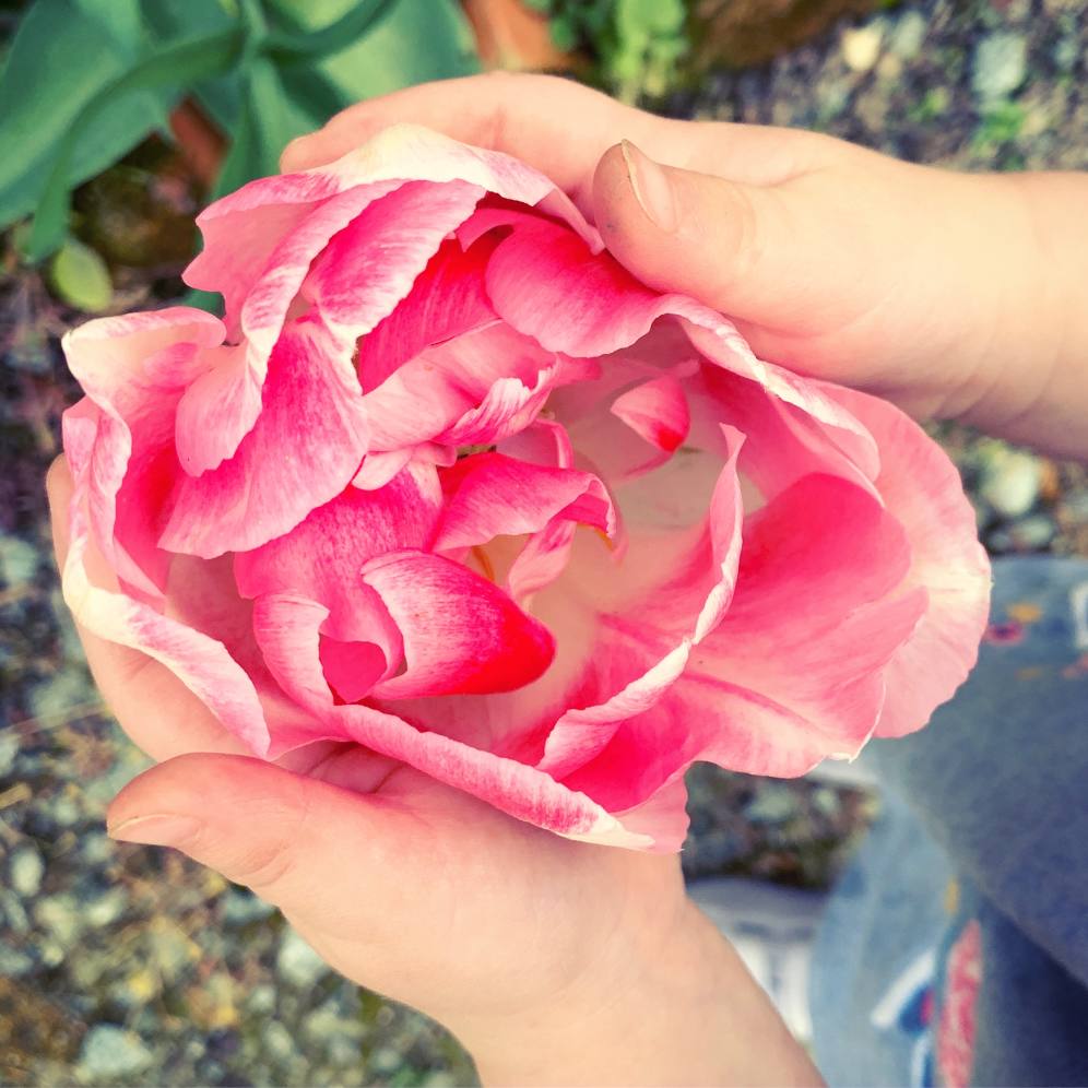 10 Focus Tips For Perfectly Sharp iPhone Photos