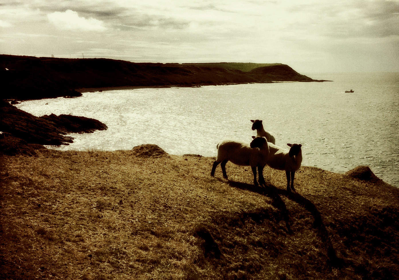 10 Composition Tips For Taking Better iPhone Photos