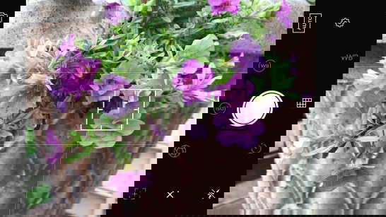 How To Use Afterlight 2 App For Powerful Photo Editing On iPhone