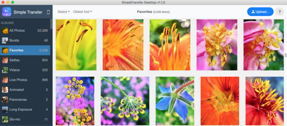 Discover The Best Photo Transfer App For Transferring iPhone Photos