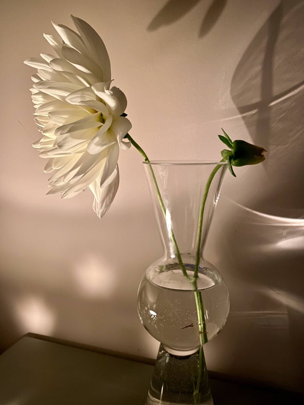 How To Use iPhone Night Mode Camera On iPhone 11 & 12