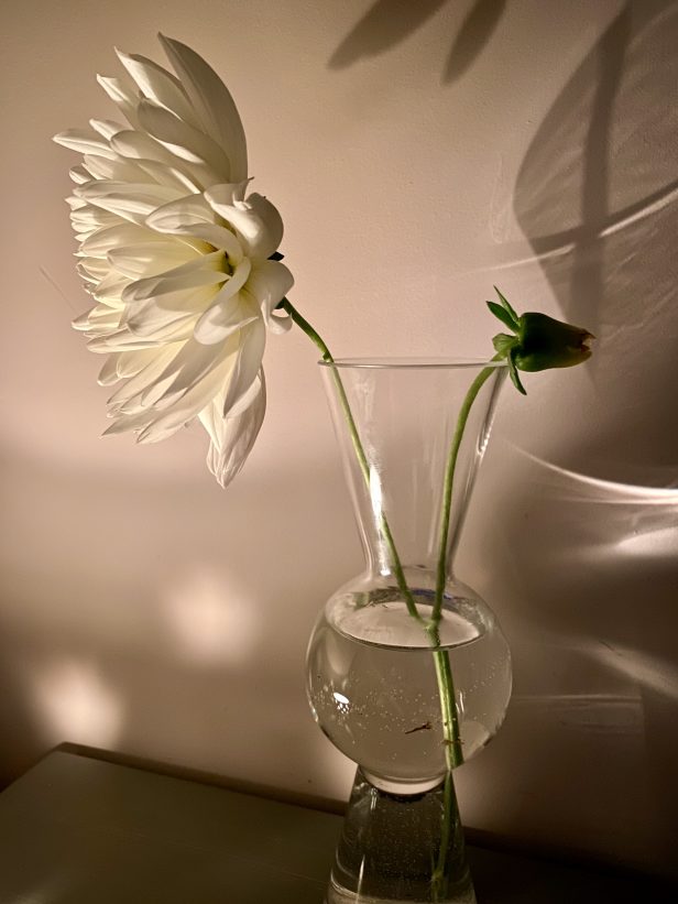 How To Use iPhone Night Mode Camera On iPhone 11 & 12