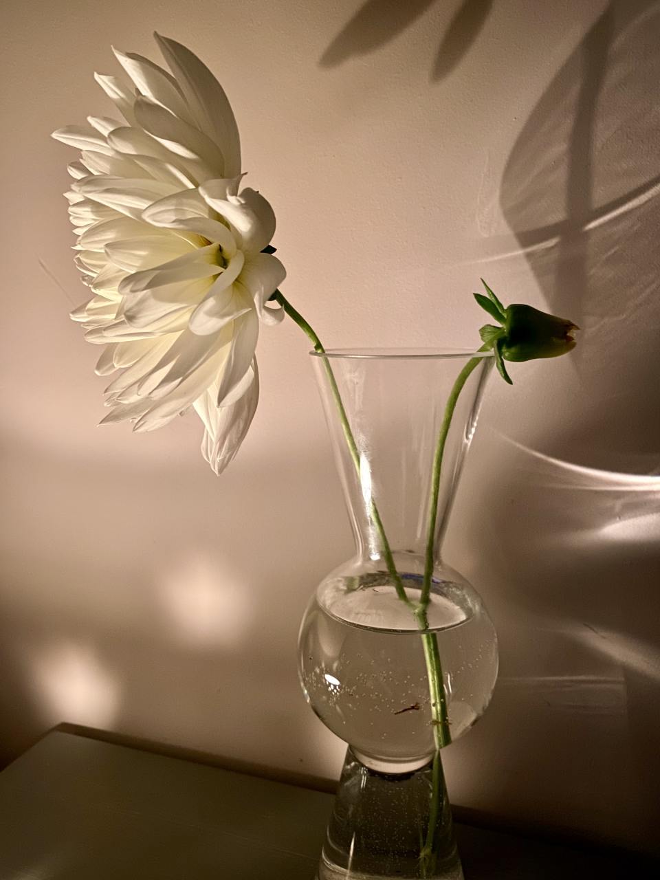 How To Use iPhone Night Mode Camera On iPhone 11 & 12