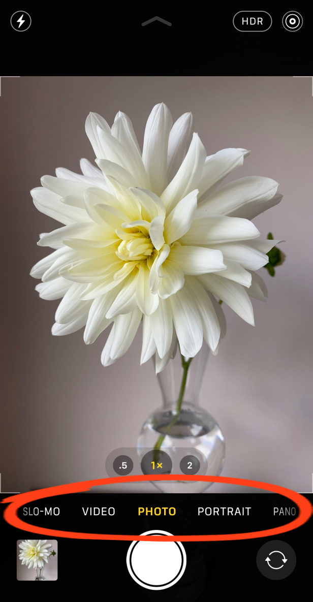 How To Take Stunning Photos With Your iPhone 11 Camera