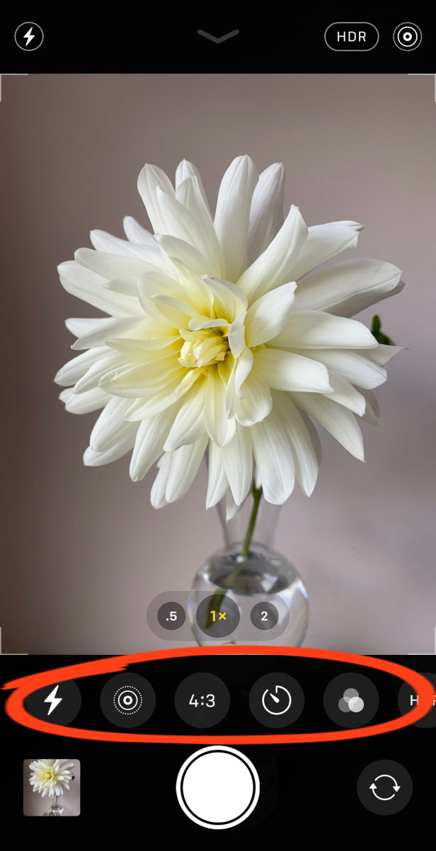 Compare The New Features Of iPhone 11 vs iPhone 11 Pro Camera