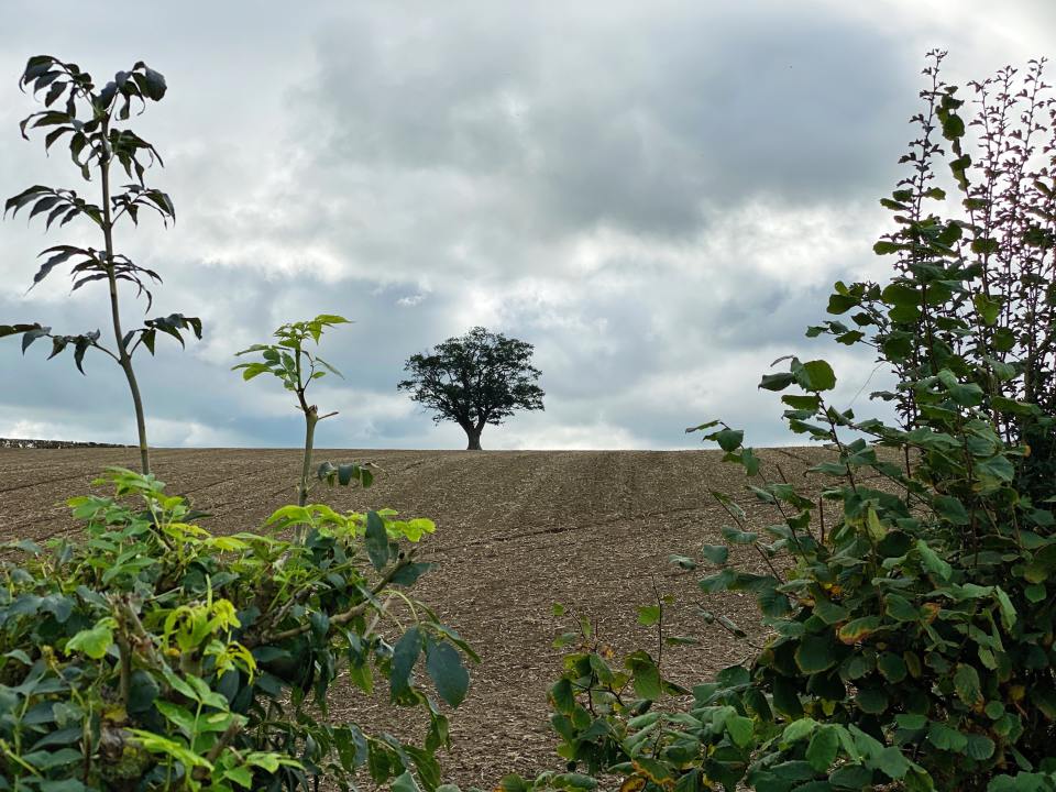 How To Take Stunning Photos With Your iPhone 11 Camera