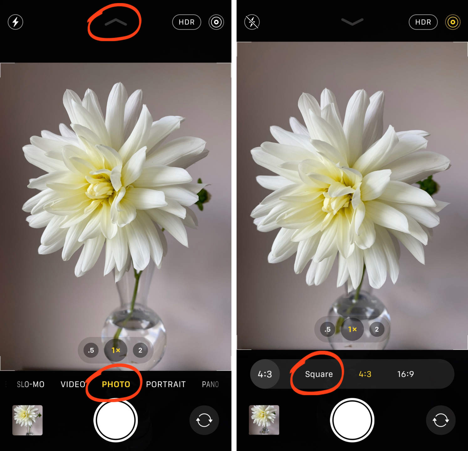 How To Use The IPhone Camera App To Take Incredible Photos