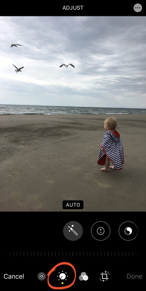 How To Use Live Photos To Create Amazing Moving Images On iPhone