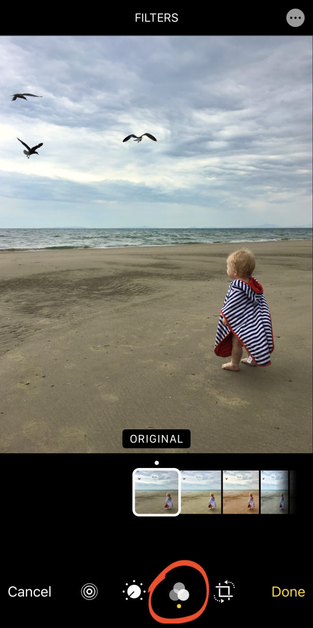 How To Use Live Photos To Create Amazing Moving Images On iPhone
