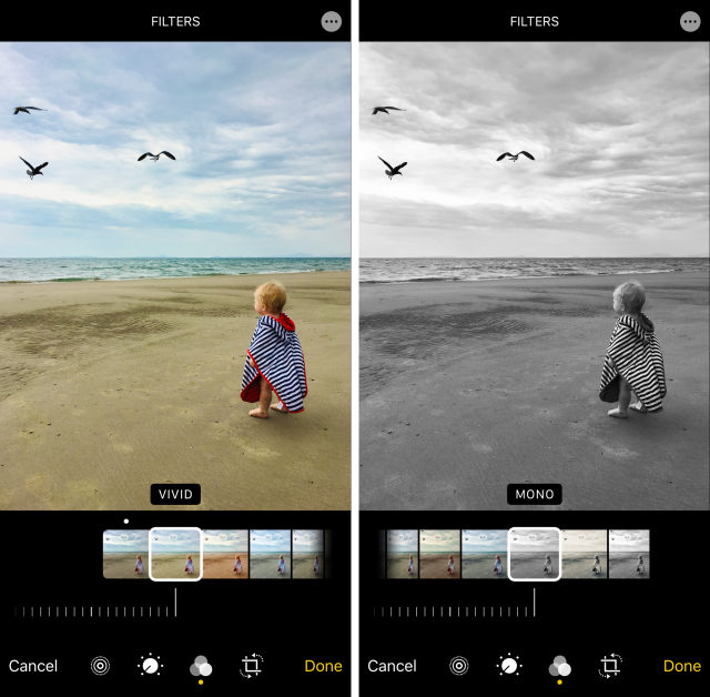 How To Use Live Photos To Create Amazing Moving Images On iPhone